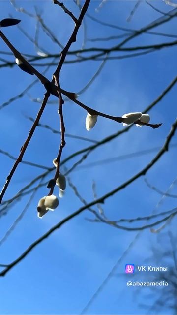 Абаза - природа