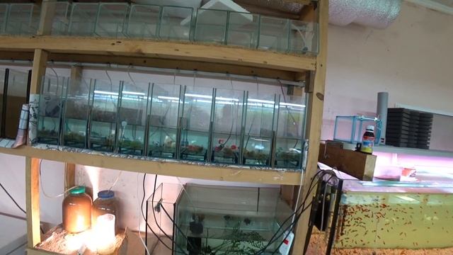 Маленькая работа на разводне