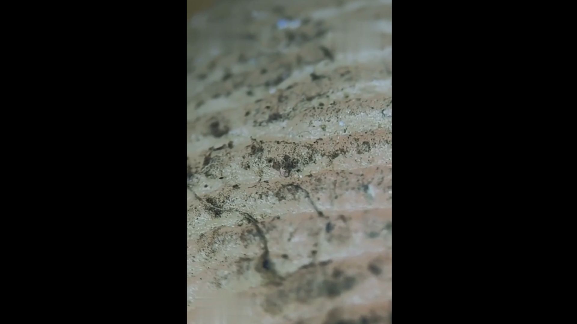 Руки под микроскопом