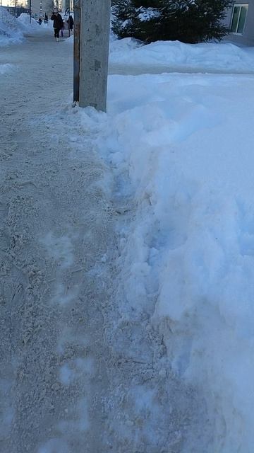 №1513 ул. Красноармейская 1-я. 19 февраля 2026 г., 15:09:10 VID_20260219_150747912