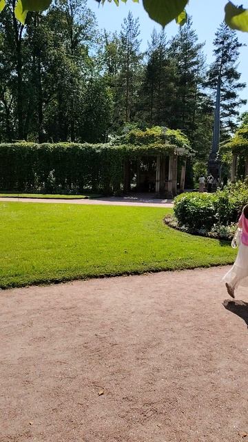 Собственный садик. Фонтан Ваза. Екатерининский парк. г. Пушкин