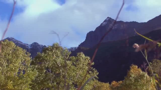 Шелест листьев берёз в горах 🍂 Осенний ветер и облака над пиком | Настоящие звуки природы для сна