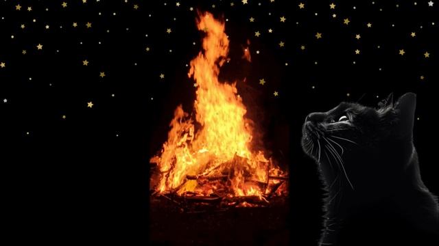 У ночного костра. Звуки костра в ночи