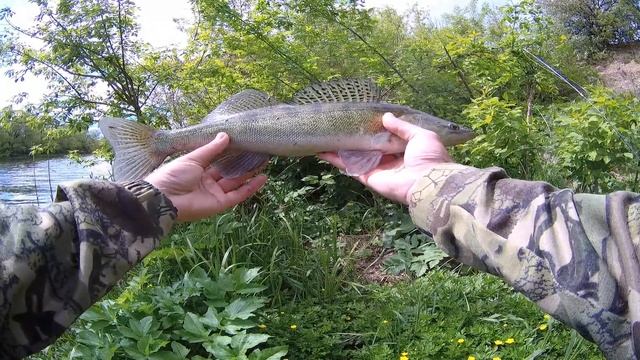 Рыбалка на джиг весной. Лайтовый комплект/Легкий джиг.