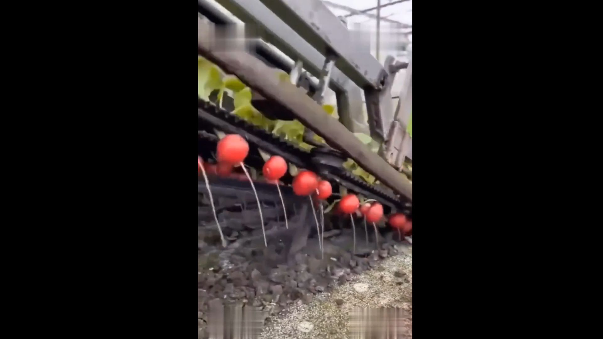 Автоматизация сельского хозяйства