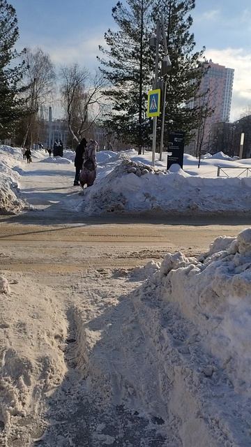 №1508 ул. Полины Осипенко. 19 февраля 2026 г., 14:55:29 VID_20260219_145500864