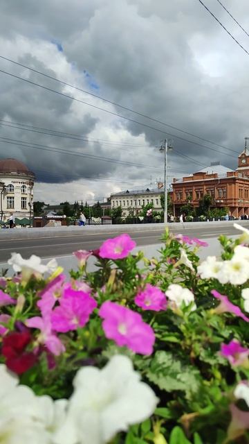 Нечто прекрасное из Владимира