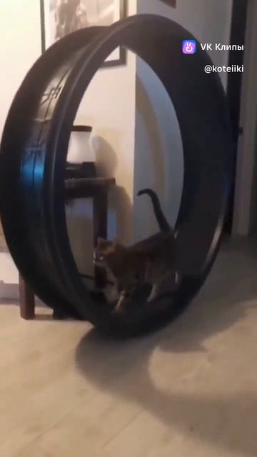 мега игрушка