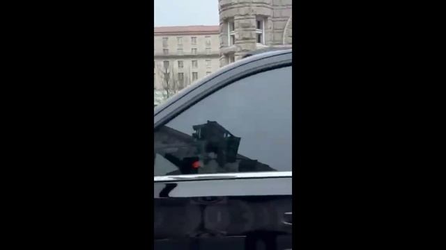 ОХРАНА ПРЕЗИДЕНТА АЗЕРБАЙДЖАНА ИЗБИВАЕТ ПРОТЕСТУЮЩИХ НА СОВЕТЕ МИРА