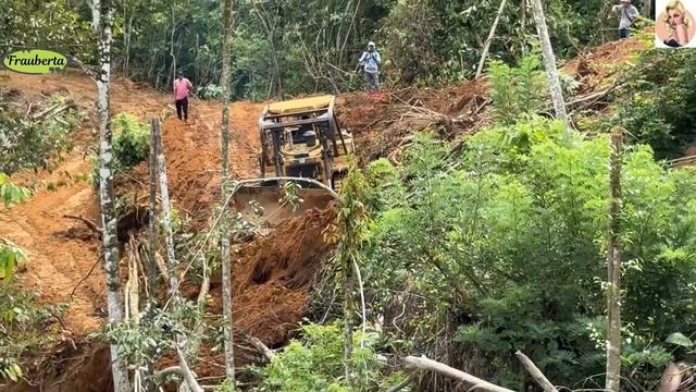 Строительство, горная дорога, расчистка , обзор