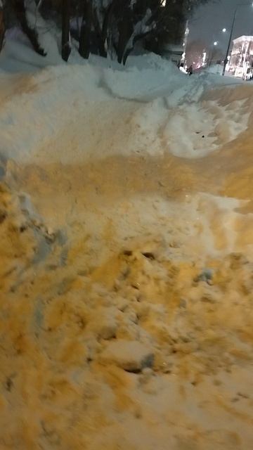 №1501 ул. Полины Осипенко. 17 февраля 2026 г., 21:14:41 VID_20260217_211419325