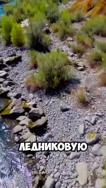 Катунь - символ Горного Алтая #алтай #рек #путешествиепороссии