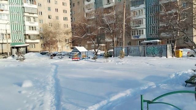 Прогулка по снегу 21 февраля