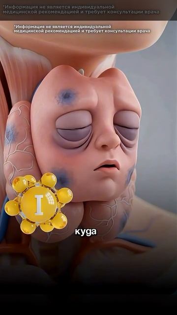 #щитовиднаяжелеза #щитовидная #щитовидка #витамины #витамины #здоровыйобразжизни