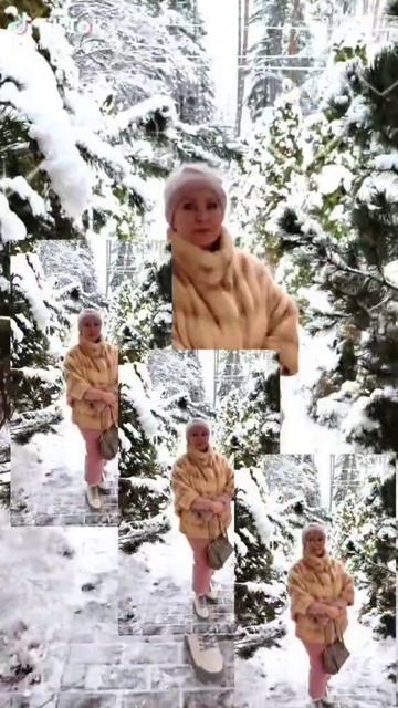 Зимняя сказка на финском заливе🌲