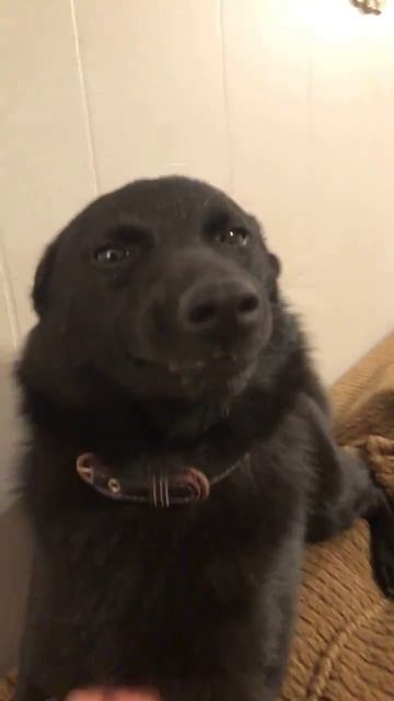 Какой же он хороший