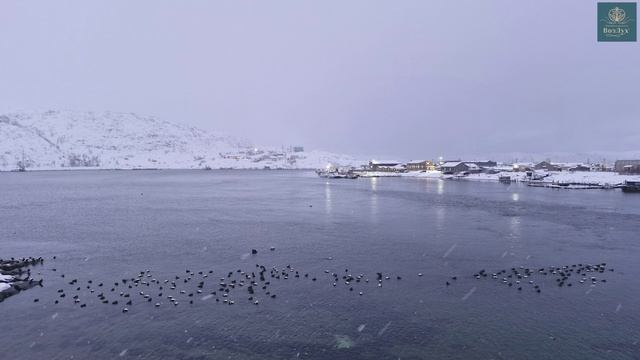 Почему люди не благодарят за добро или даже злятся на то, что мы делаем для них | Вопрос | Ответ