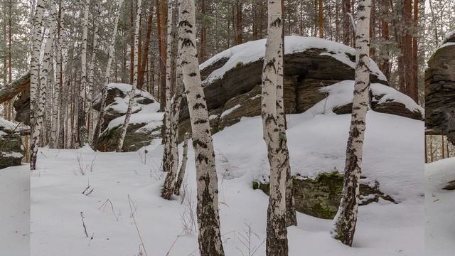 Рождественская фотосессия 2020