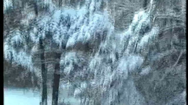 Зимняя дорога Смоленск -Красный Бор.