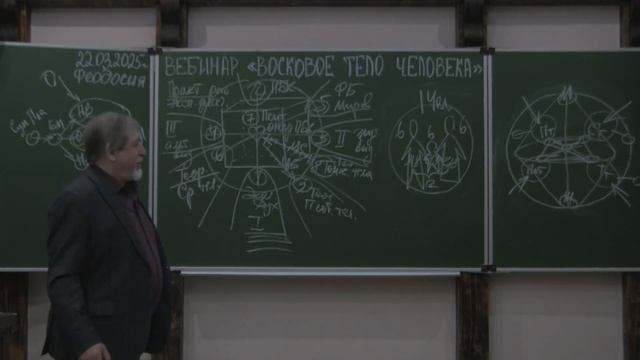 22.03.2025 Вебинар. Восковое тело человека