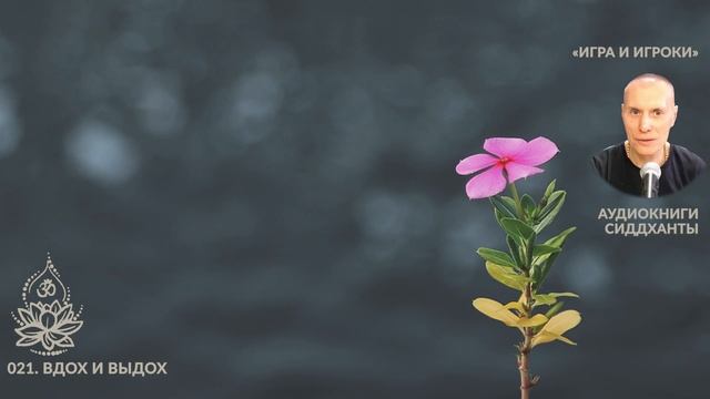 Игра и Игроки. 021. Вдох и выдох. Аудиокниги Сиддханты (Вячеслава Чернина)