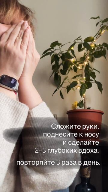 Масло победителей