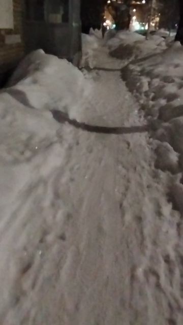 №1497 ул. Красноармейская 1-я. 17 февраля 2026 г., 20:52:51 VID_20260217_205207583