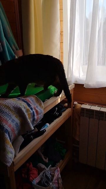 Отдых со всеми удобствами