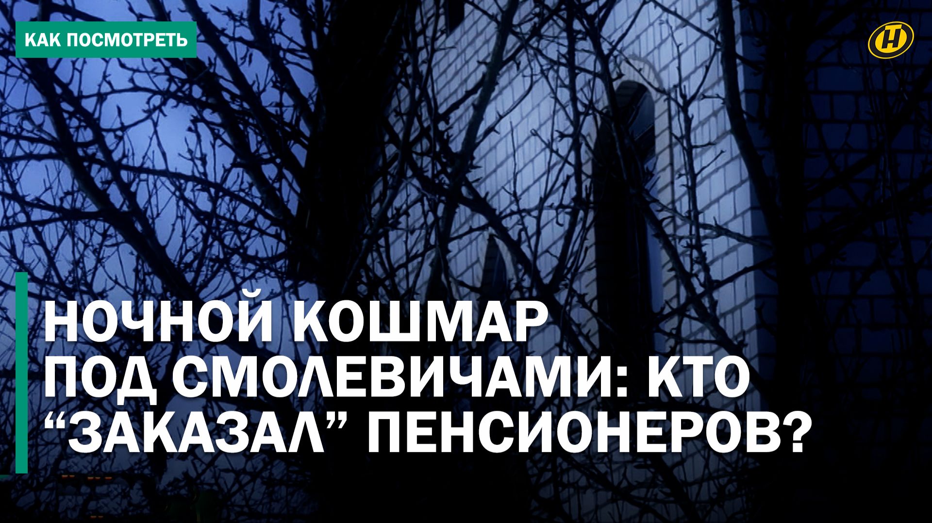 НАПАДЕНИЕ на пенсионеров в агрогородке: БИТЫ И ПИСТОЛЕТЫ. Кто за этим стоит и при чем тут ИНТЕРПОЛ?
