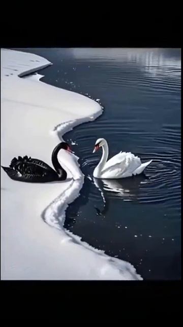 Somewhere there is a Paradise