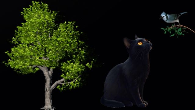 Птичье песнопение. Звуки птиц в лесу