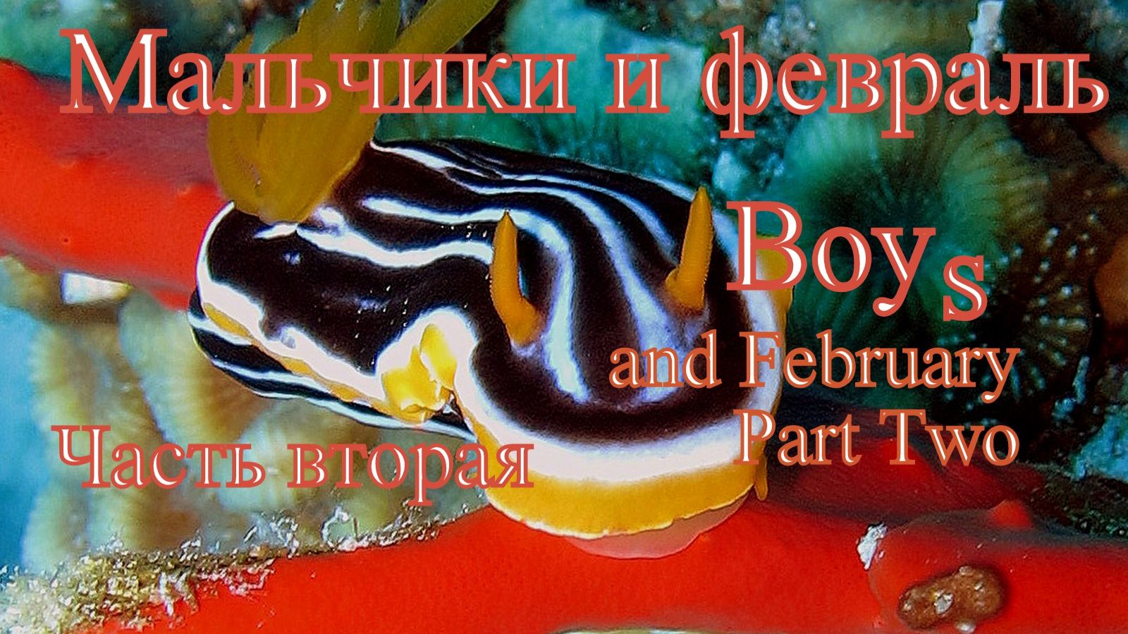 Мальчики и февраль. Часть вторая
