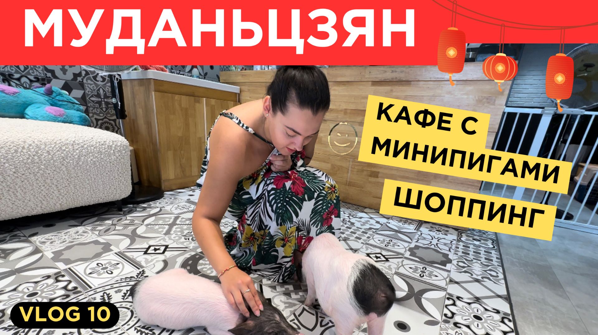10. VLOG | МУДАНЬЦЗЯН | Шоппинг и кафе с минипигами | День 2