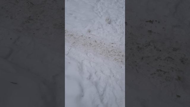 Сапожник без сапог! Часть 1