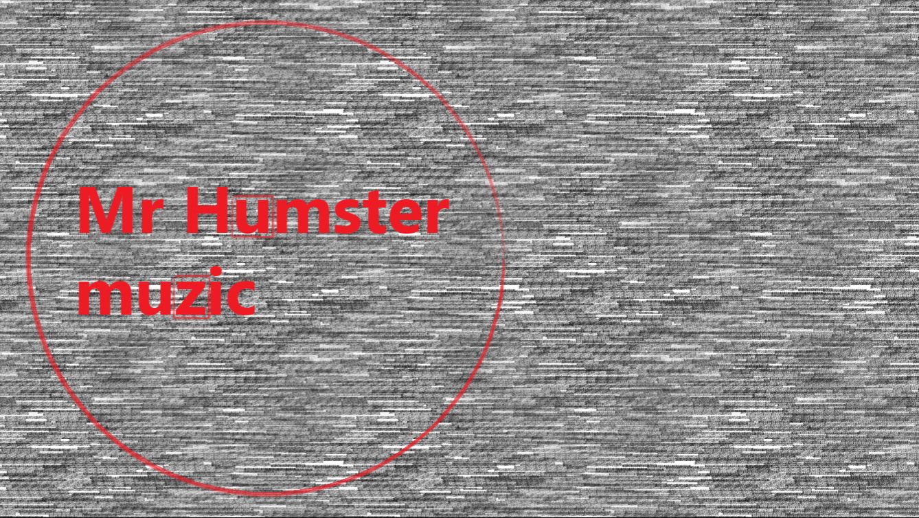 Mr Humster muzic / bass 13