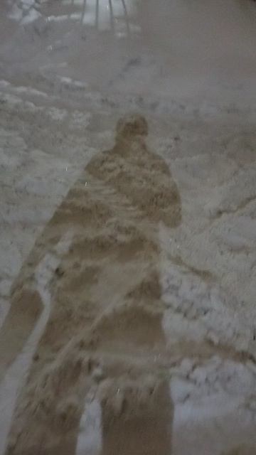 №1499 Двор Г. Звезда 73-Красноармейская 52 17 февраля 2026 г., 21:11:32 VID_20260217_211038681