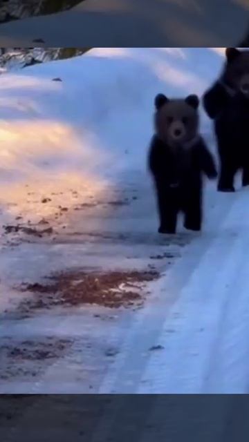 Мама, а далеко ещё идти