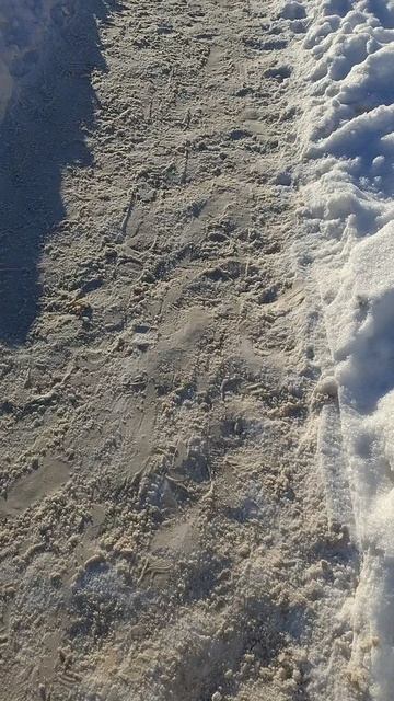 №1520 ул. Красноармейская 1-я. 19 февраля 2026 г., 16:13:54 VID_20260219_161313411