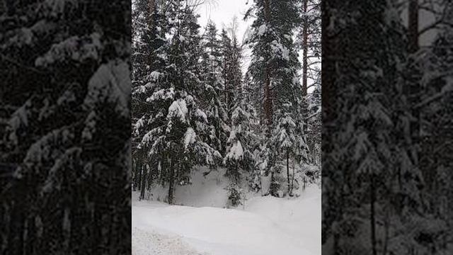 №107 Пространственное расширение