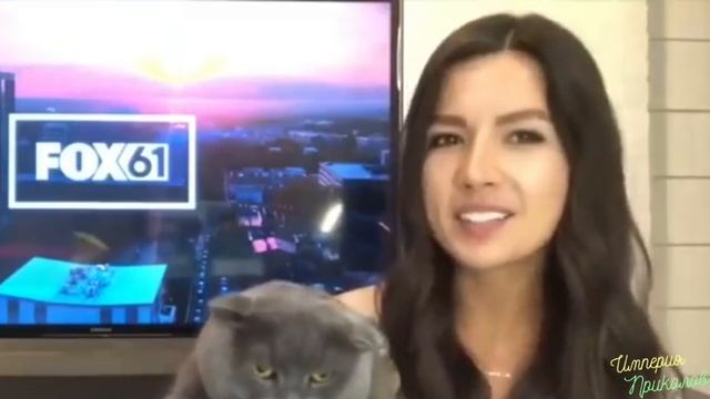 Нелепые и смешные ситуации которые случились в прямом эфире ТВ! (часть 12)