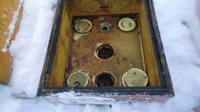 февраль, зимовка пчелы карника на ячейке 4,9 мм, подкормка пока не нужна , 21.02.2026