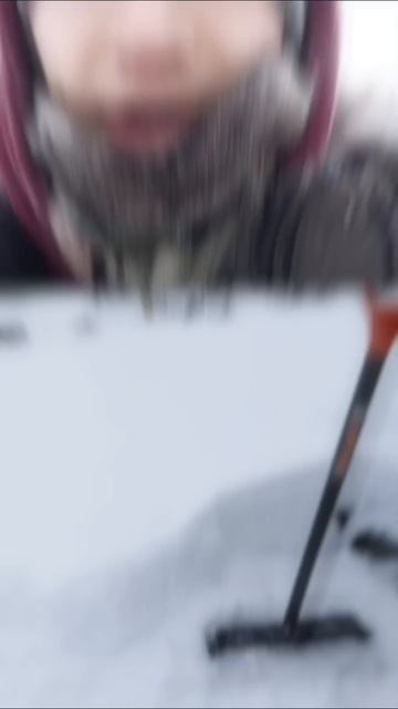 Смена курса: оставляю игровой блогинг ради огорода и сада — и лайфхак по уборке снега с крыш!