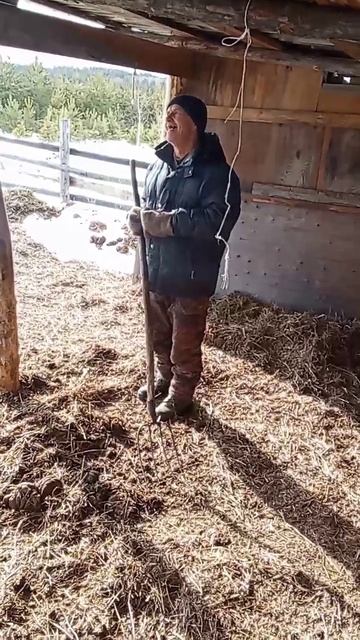 Трудотерапия, 18.02.26