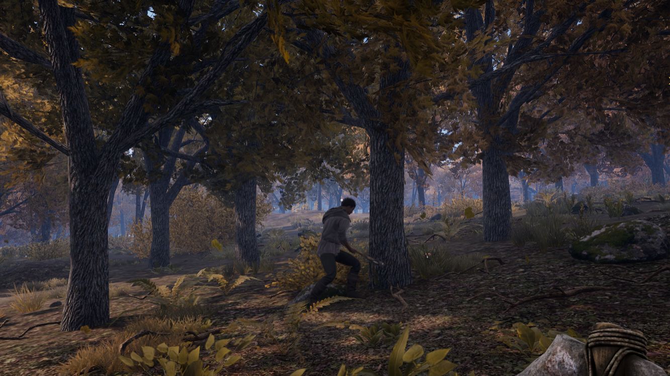 ПОКОЛЕНИЕ ХОТЕЛОК  ▶ Medieval Dynasty # 5