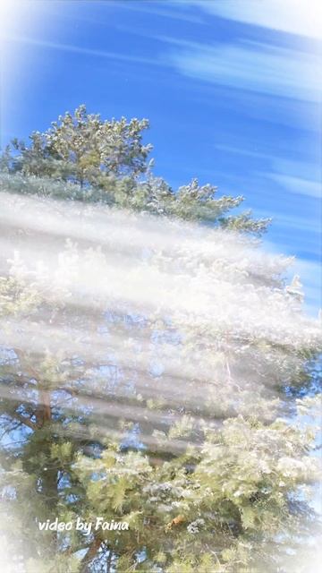 Я несла свою беду. cover.