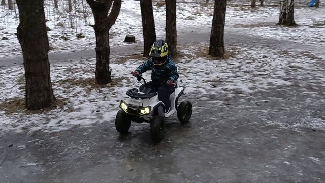 Лесной дрифт