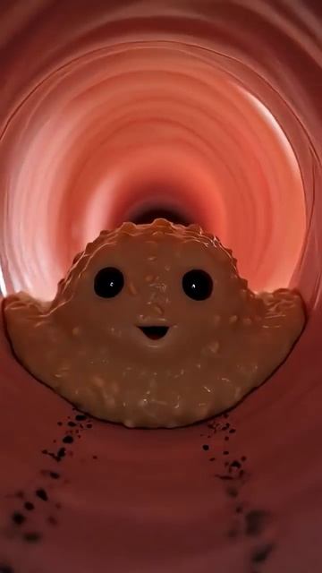 Топ-8 продуктов от запора #здоровье #народнаямедицина #запор #метаболизм #советы #кишечник #жкт #зож