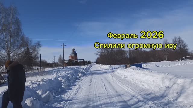 Зимние дела на даче-2026. Снег. Спили иву.