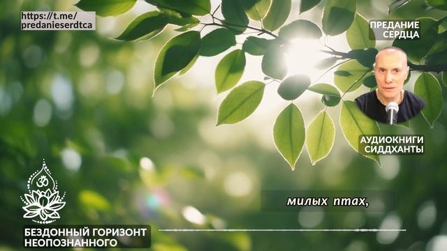 Бездонный горизонт неопознанного. Аудиокниги Сиддханты (Вячеслава Чернина)