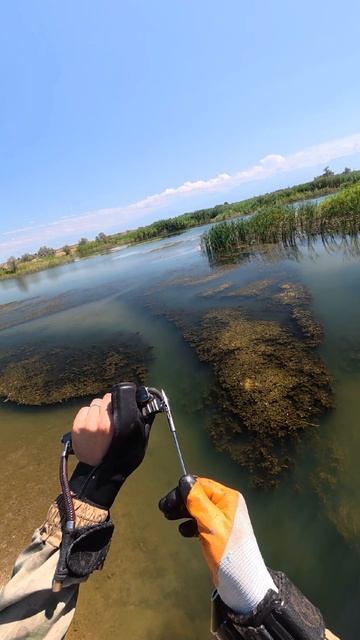 Рогатка для Рыбалки-Охоты #2025 #рекомендации#охотасрогаткой#рыбалканарогатку